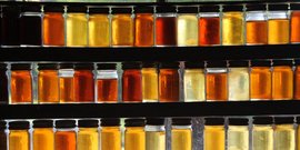 Cornell Cooperative Extension