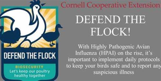 Cornell Cooperative Extension