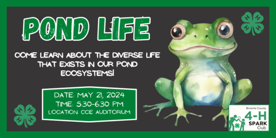 Cornell Cooperative Extension | 4-H SPARK: Pond Life