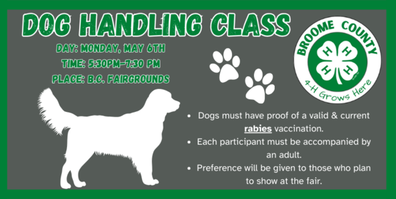 Cornell Cooperative Extension | 4-H Dog Program: Dog Handling Clinic