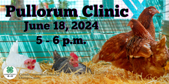 Cornell Cooperative Extension | Events