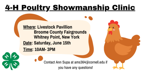 Cornell Cooperative Extension | Poultry Showmanship Clinic