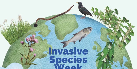 Cornell Cooperative Extension | Invasive Species Talk
