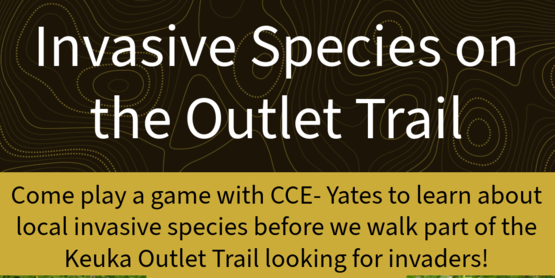 Cornell Cooperative Extension | Invasive Species on the Outlet Trail