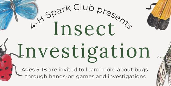 Cornell Cooperative Extension | 4-H Spark Club Insect Investigation