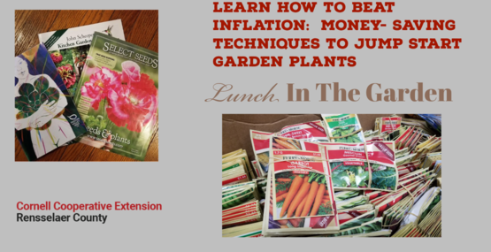 Cornell Cooperative Extension | Lunch In The Garden- Learn How To Beat ...
