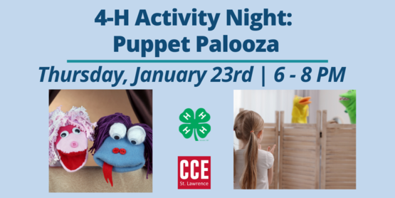 Cornell Cooperative Extension | 4-H Activity Night: Puppet Palooza