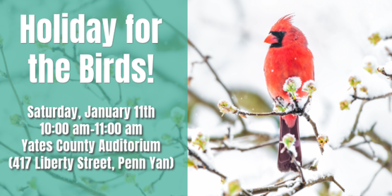 Cornell Cooperative Extension | Holiday for the Birds