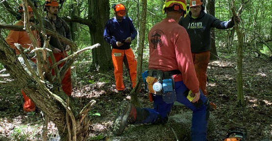 Cornell Cooperative Extension | Level 1: Precision Felling Techniques