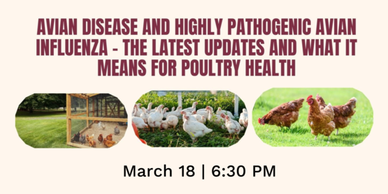 Cornell Cooperative Extension | Avian Disease and Highly Pathogenic ...