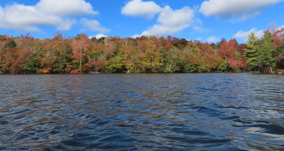 Cornell Cooperative Extension | Earth Day Clean Up at Dyken Pond