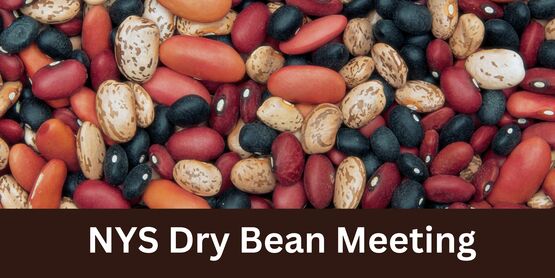 Cornell Cooperative Extension | 2025 NYS Dry Bean Meeting and Cutting Event