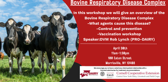 Cornell Cooperative Extension | Bovine Respiratory Disease Complex