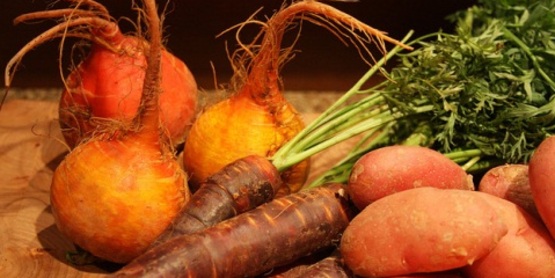 Cornell Cooperative Extension | Planting Root Crops