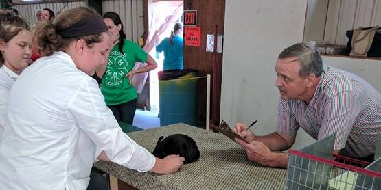 Cornell Cooperative Extension | 4-H Double Rabbit & Cavy Youth Show