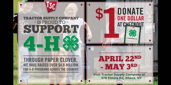 Cornell Cooperative Extension | 4-H Spring Paper Clover Fundraiser
