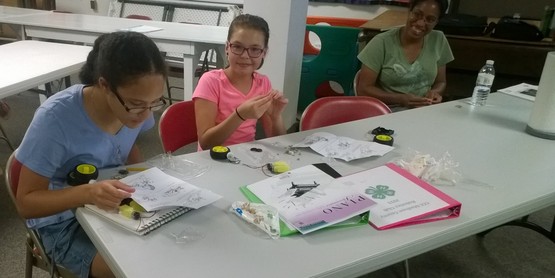 Cornell Cooperative Extension | Robotic Clubs