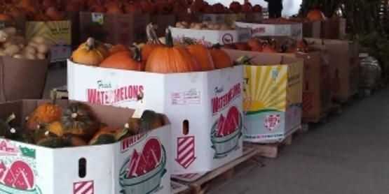 Cornell Cooperative Extension | Genesee Valley Produce Auction 2016 ...