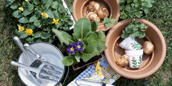 Cornell Cooperative Extension | Crops in Pots:Growing Vegetables in ...