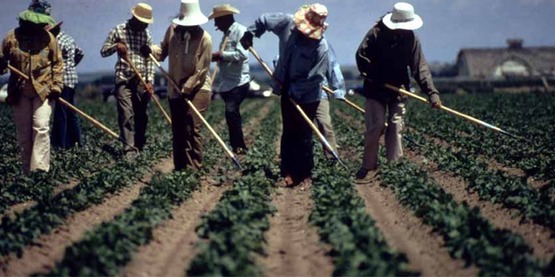 Cornell Cooperative Extension | WPS Mock Training Course