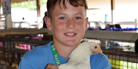 Cornell Cooperative Extension | 4-H Poultry Showmanship Clinic