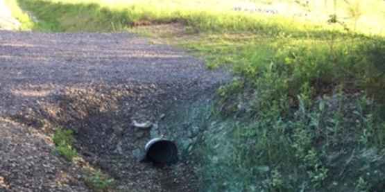 Cornell Cooperative Extension | Roadside Ditch Management Training