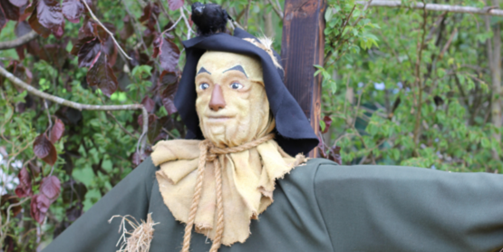 Cornell Cooperative Extension | Scarecrow Decorating Contest and Auction