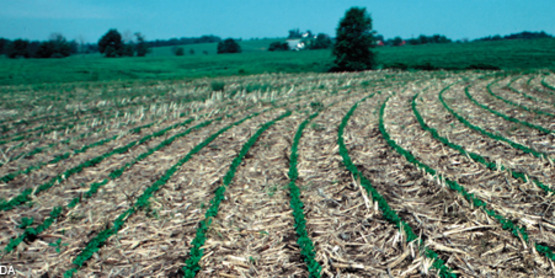 Cornell Cooperative Extension | Climate Smart Farming Rescources