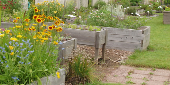 Cornell Cooperative Extension | Vegetable Garden Basics