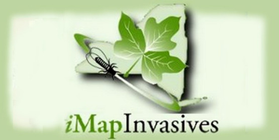 Cornell Cooperative Extension | iMapInvasive Training