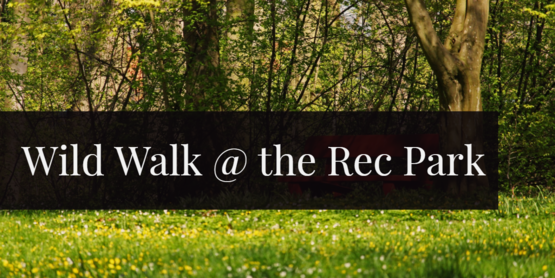 Cornell Cooperative Extension | Wild Walk in the Park