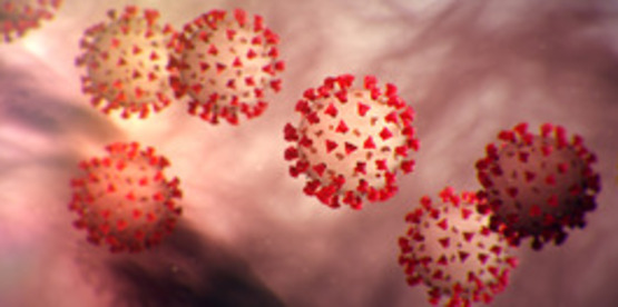 Cornell Cooperative Extension | NYS/CCE Genesee Farm Hand Sanitizer ...