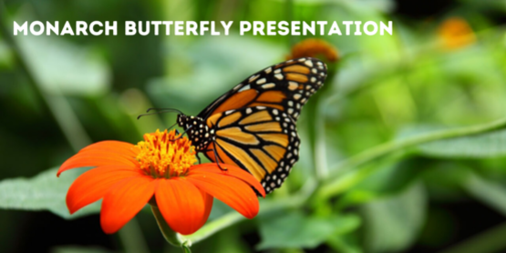 Cornell Cooperative Extension | Monarch Butterfly Presentation via Zoom