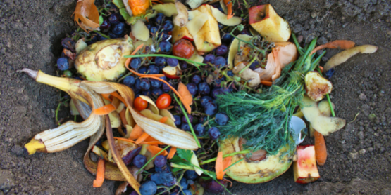 Cornell Cooperative Extension | Basics of Organic Composting