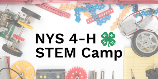 Cornell Cooperative Extension | 2021 NYS 4-H STEM Camp