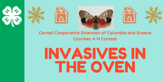 Cornell Cooperative Extension | Invasives in the Oven Spotted ...