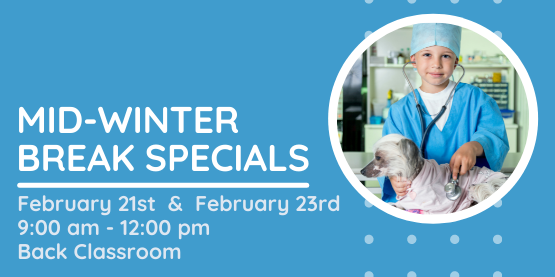 Cornell Cooperative Extension | 4-H Mid-Winter Break Specials