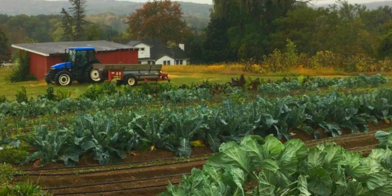 Cornell Cooperative Extension | Finding Farmland
