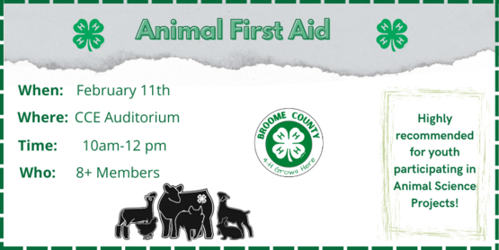 Cornell Cooperative Extension | 4-H SPARK Club: Animal First Aid
