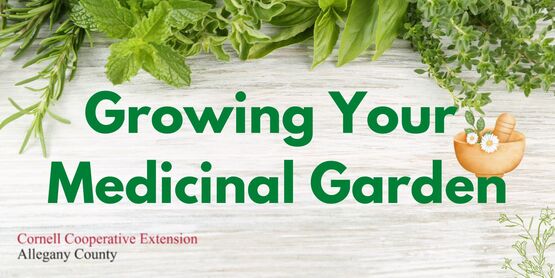 Cornell Cooperative Extension | Growing Your Medicinal Garden Workshop
