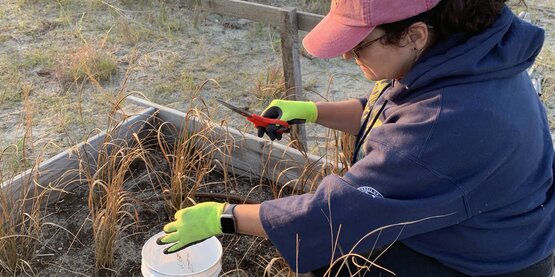 Cornell Cooperative Extension | Habitat Stewardship Session (Hampton Bays)