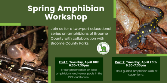 Cornell Cooperative Extension | Spring Amphibian Workshop