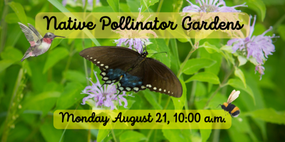 Cornell Cooperative Extension | Native Pollinator Gardens