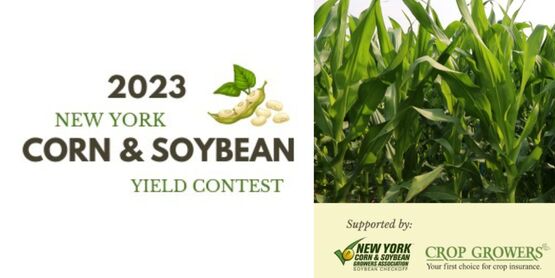 Cornell Cooperative Extension | 2023 CORN & SOY BEAN NEW YORK YIELD CONTEST