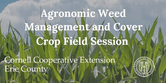 Cornell Cooperative Extension | Agronomic Weed Management and Cover ...