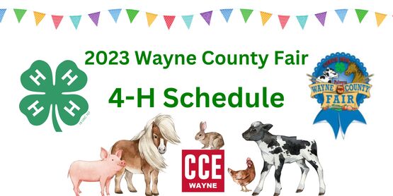 Cornell Cooperative Extension | 4-H Forestry