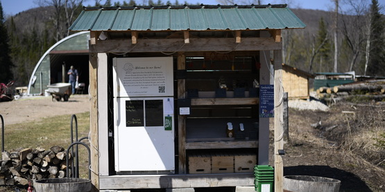 Cornell Cooperative Extension | Guided Farm Tours at The Cook Farm