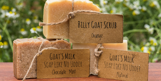 Cornell Cooperative Extension | Guided Farm Tours at The Cook Farm