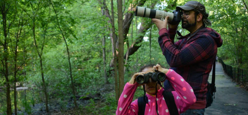 Birding Guide | Central Park Conservancy