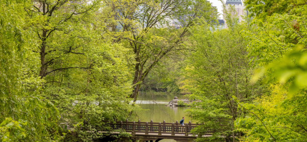 Official Tour: The Ramble Tour | Central Park Conservancy